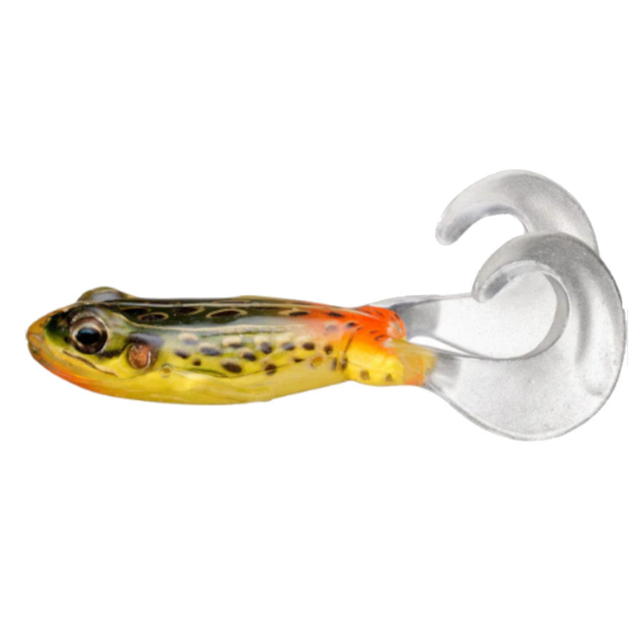 LIVE TARGET FROGS - DIFFERENT TYPES AVAILABLE – CRAFM